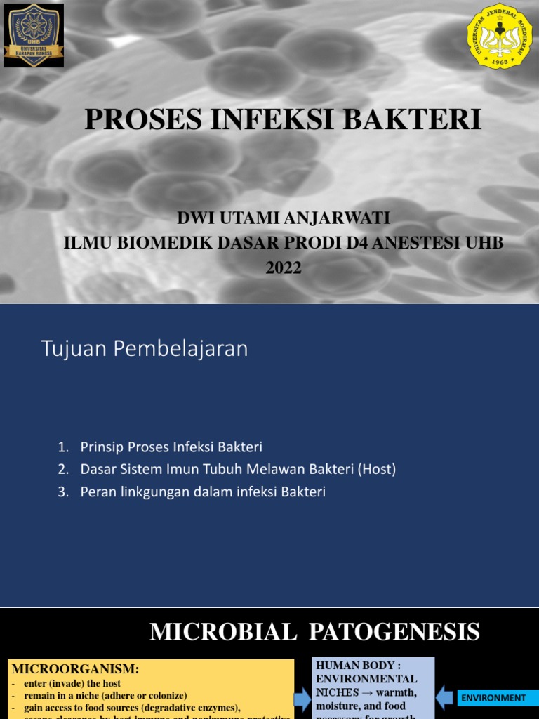 Proses Infeksi Bakteri | PDF