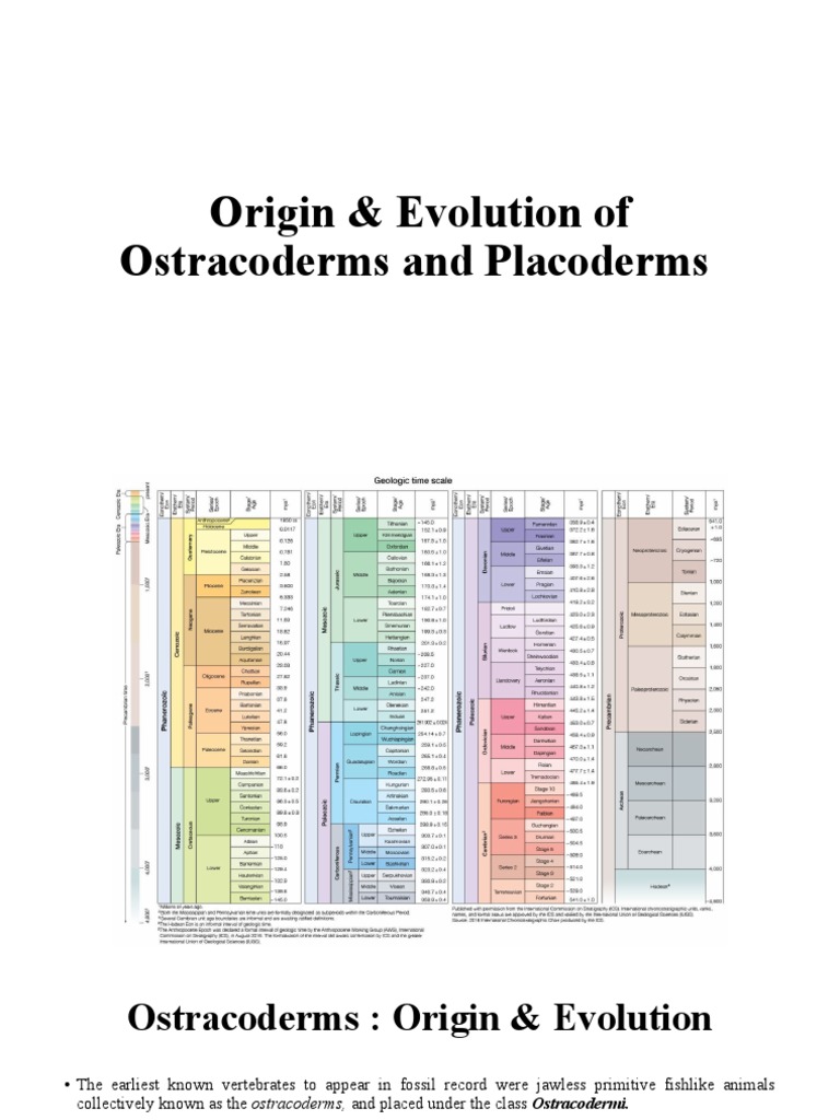 Origin & Evolution of Otracoderms & Placoderms - Jaws | PDF | Fish