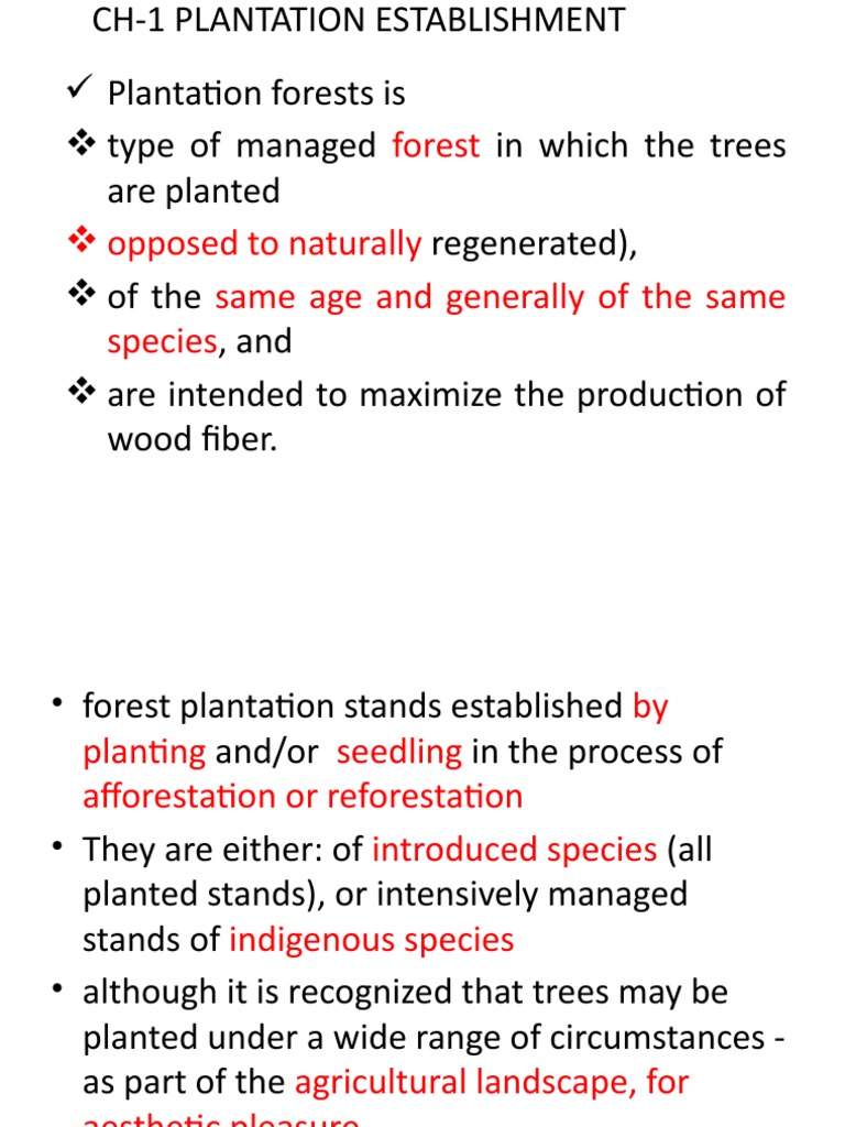 Plantation | PDF | Triangle | Forests