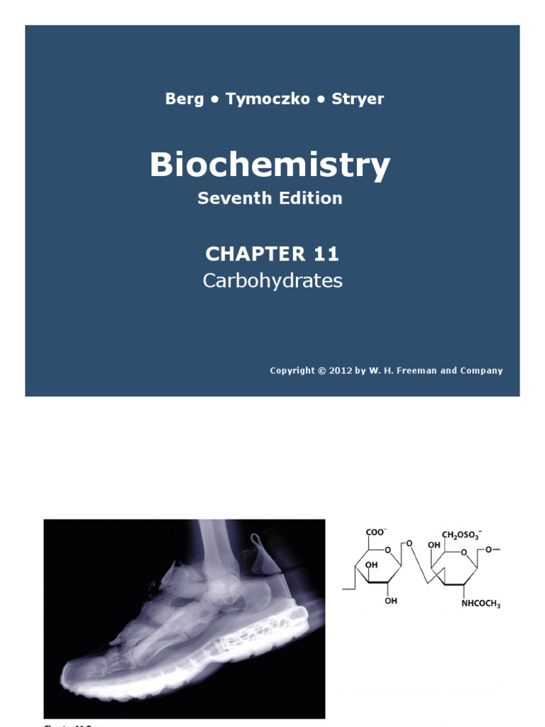 Biochemistry | PDF