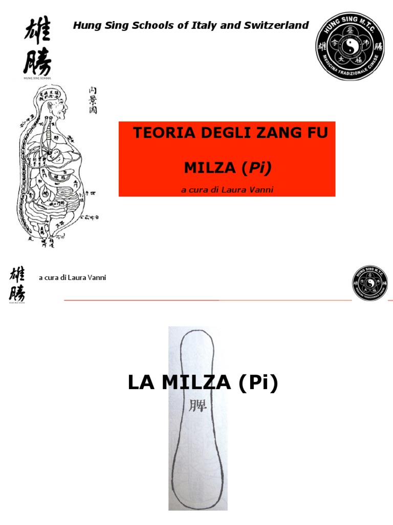 Milza Zang in MTC | PDF