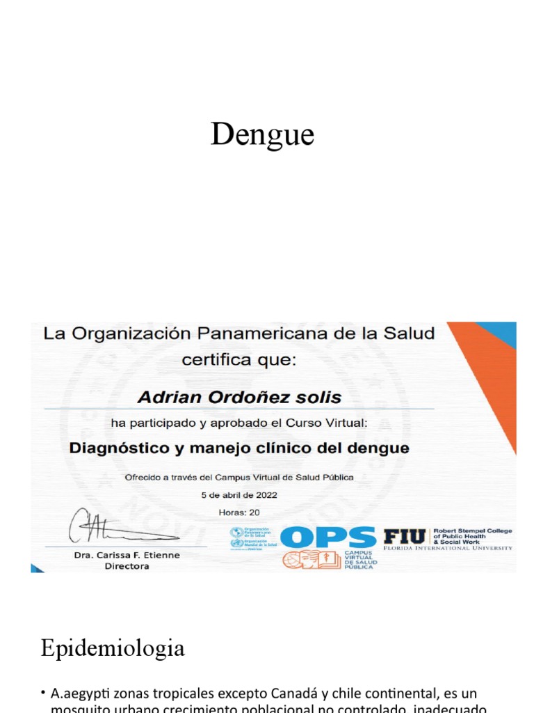 Dengue | PDF | Medicina | Ciencias de la Salud