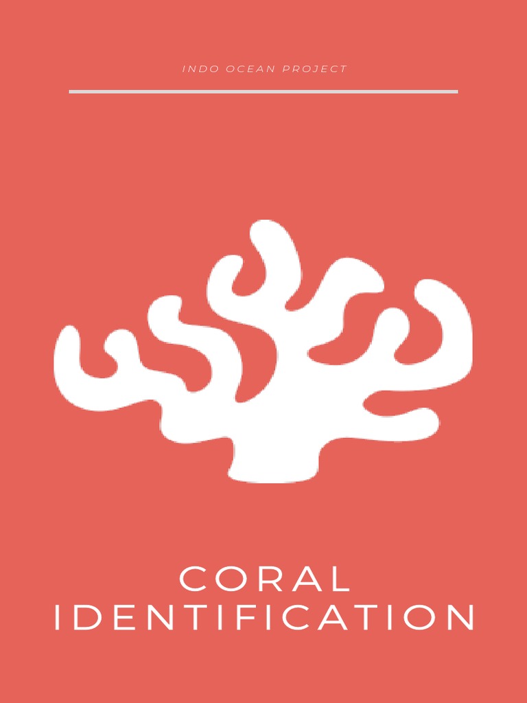Coral Identification Manual | PDF | Coral | Coral Reef