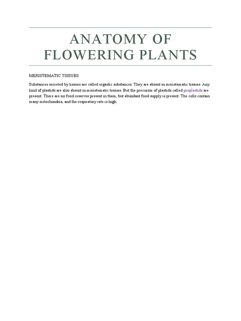 Anatomy of Flowering Plants | PDF
