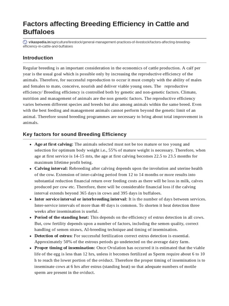 Key Factors Affecting Breeding Efficiency In Cattle And Buffaloes And Strategies For Improvement