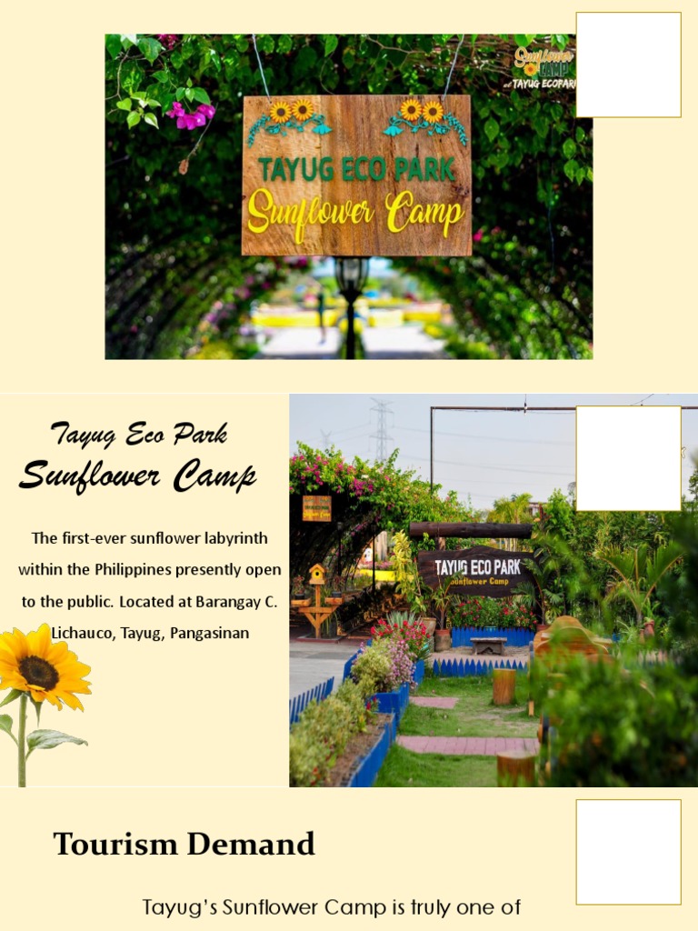 Sunflower Camp | PDF