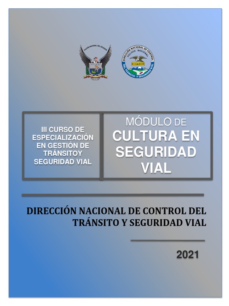 Curso de Gestión en Seguridad Vial 2021 | PDF | Peatonal | Neumático