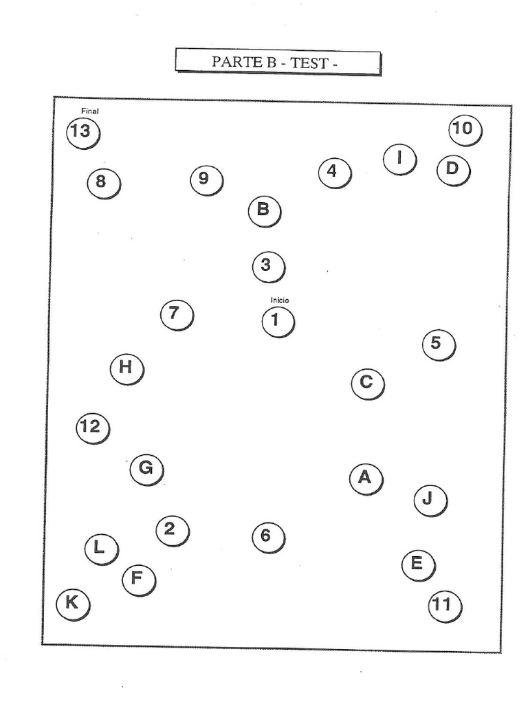 TMT - B Adults | PDF