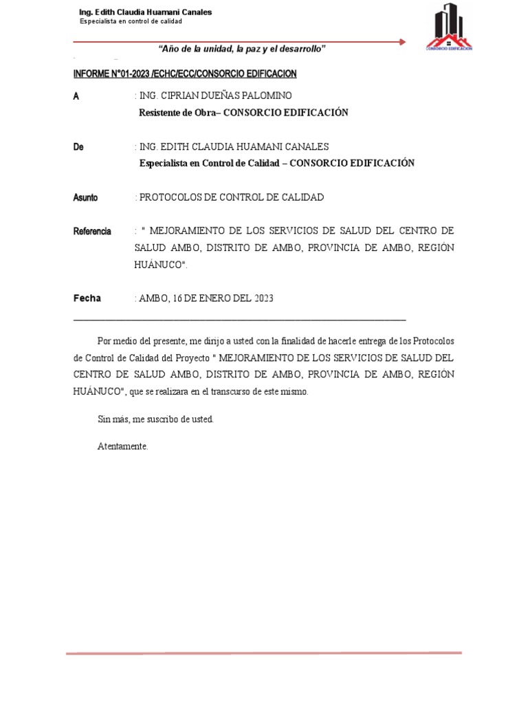 Informe Protocolos | PDF | Hormigón | Materiales