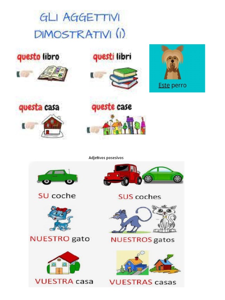 Adjetivos Posesivos | PDF