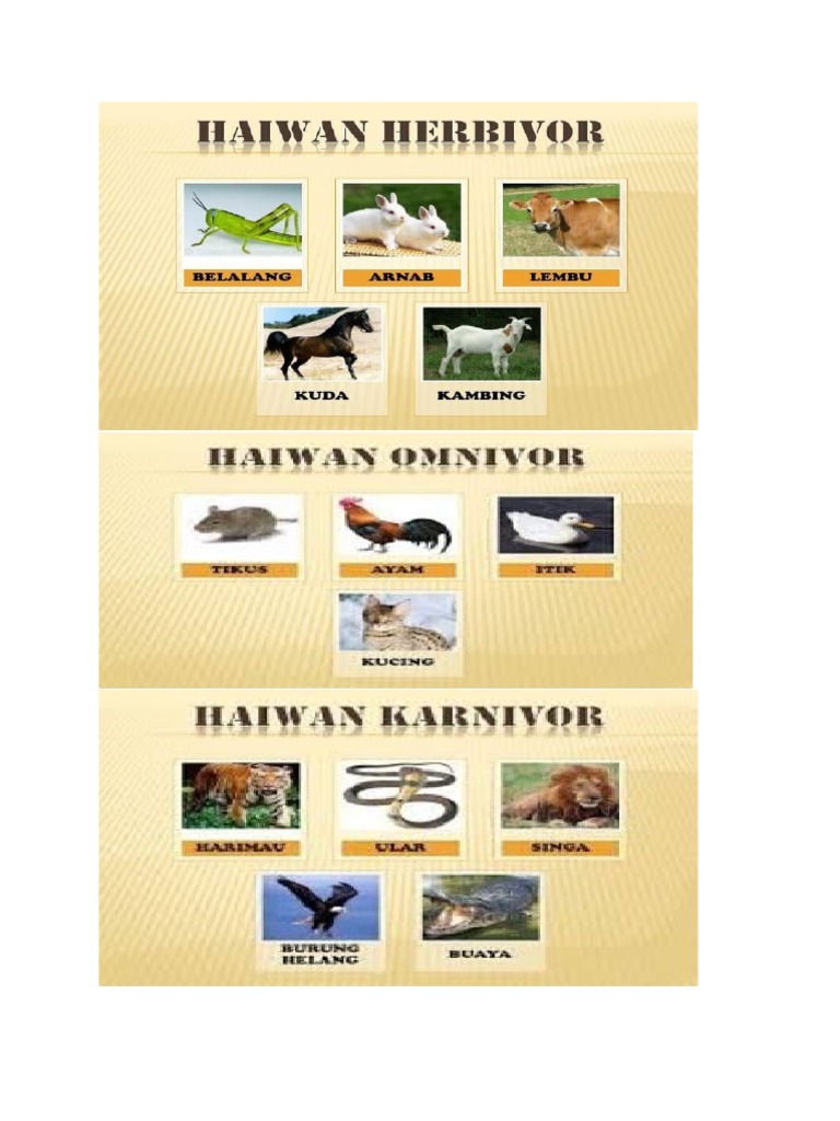 Haiwan Rayhanah | PDF