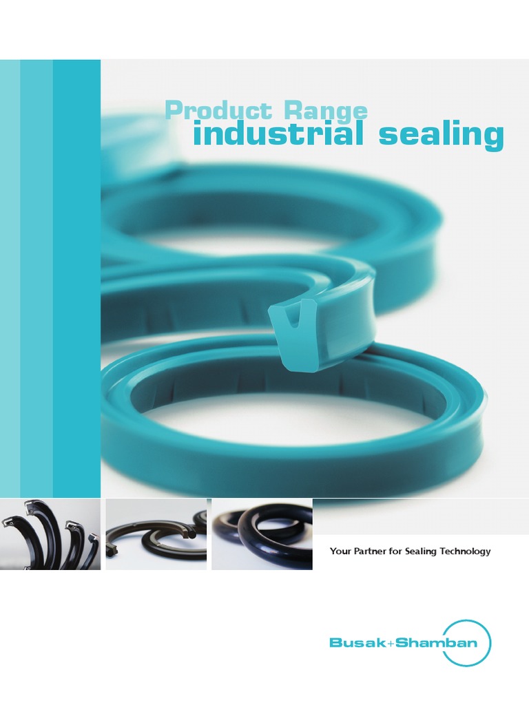 BUSAK SHAMBAN Industrial - Sealing.product - Range | PDF | Bearing (Mechanical) | Mechanical ...