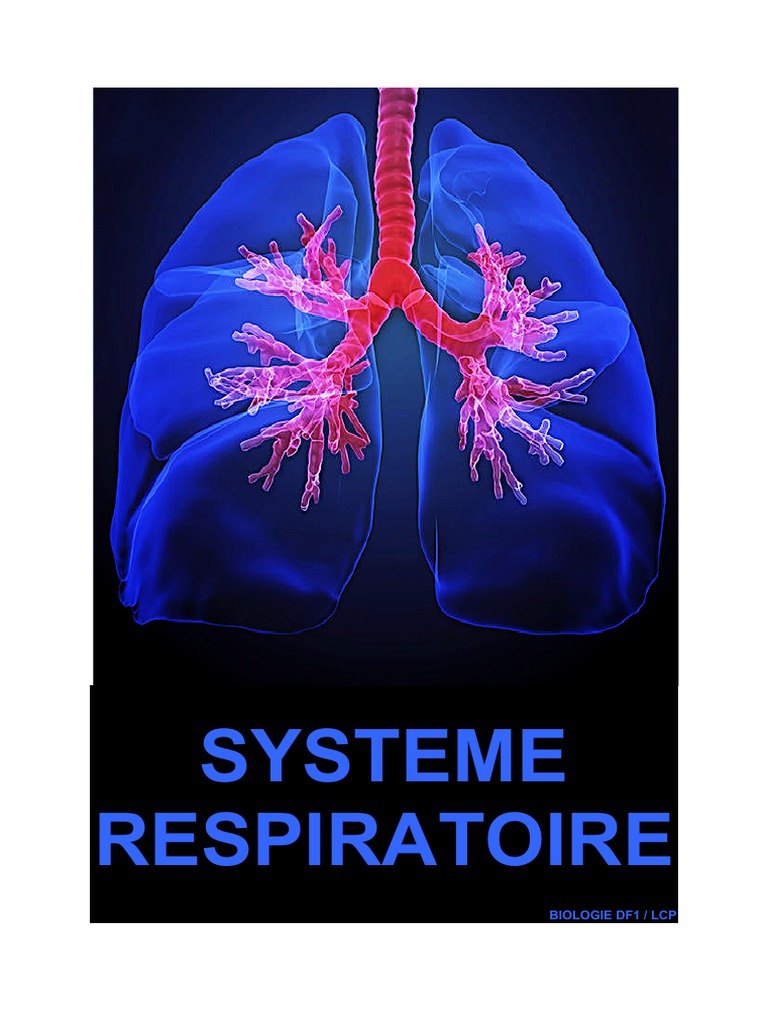 DF1 - Système Respiratoire | PDF | Système respiratoire | Respiration