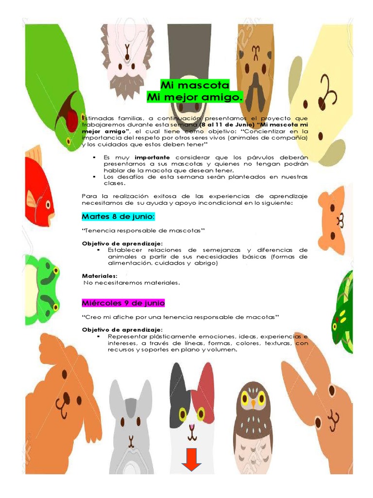 Proyecto "Mi mascota, mi amigo" | PDF | Mascota