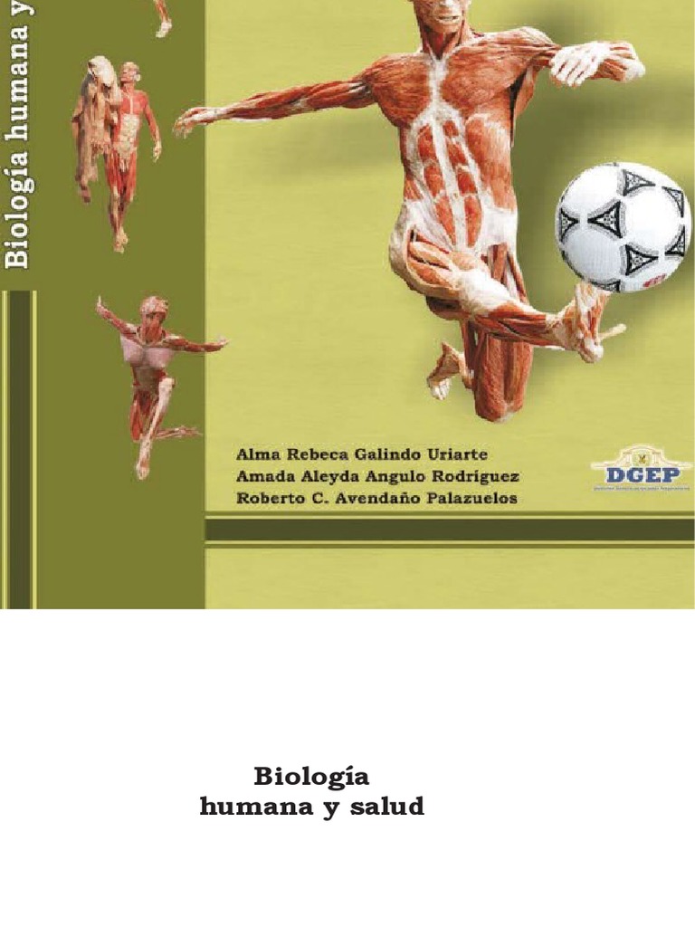 39 Biologia Humana y Salud | PDF | Homeostasis | Digestión