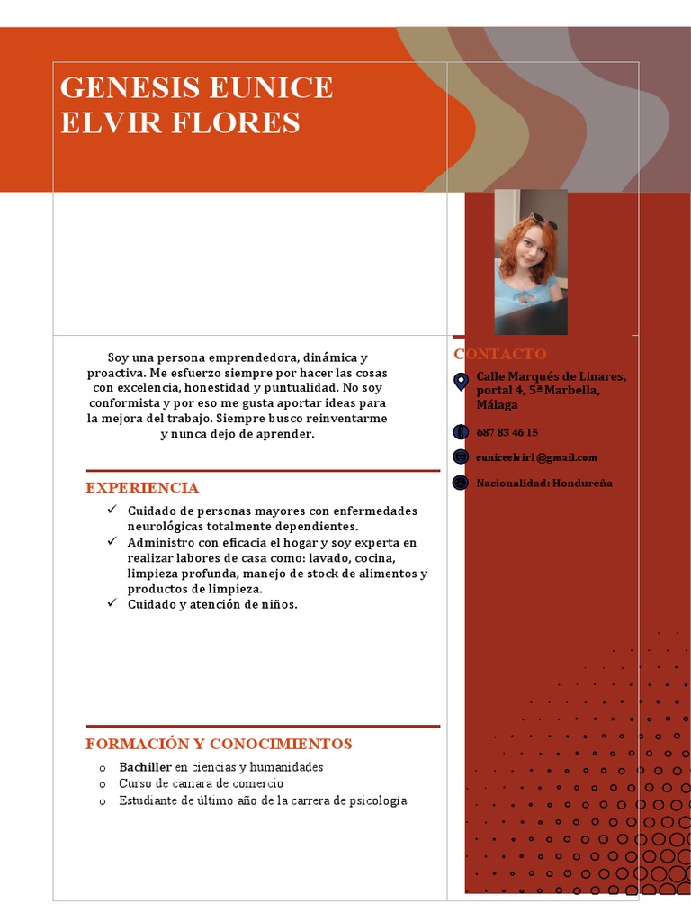 CV Genesis Elvir | PDF