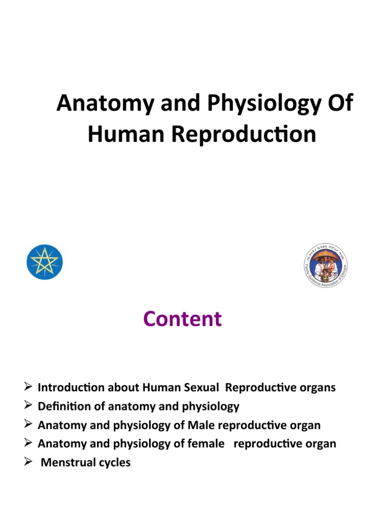 Anatomy and Physiology Human Reproduction | PDF | Menstrual Cycle ...