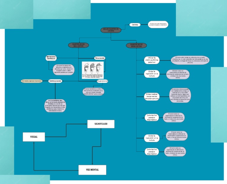 Mapa Conceptual | PDF | Ciencia cognitiva | Cognición