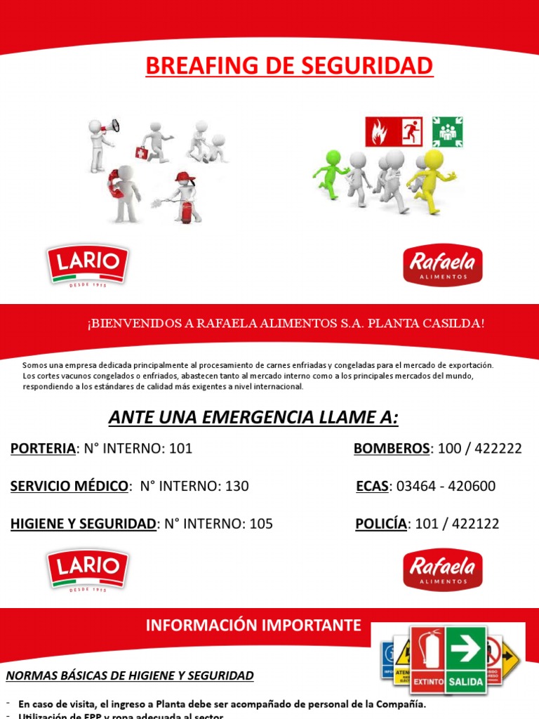 Breafing de Seguridad Visitas | PDF