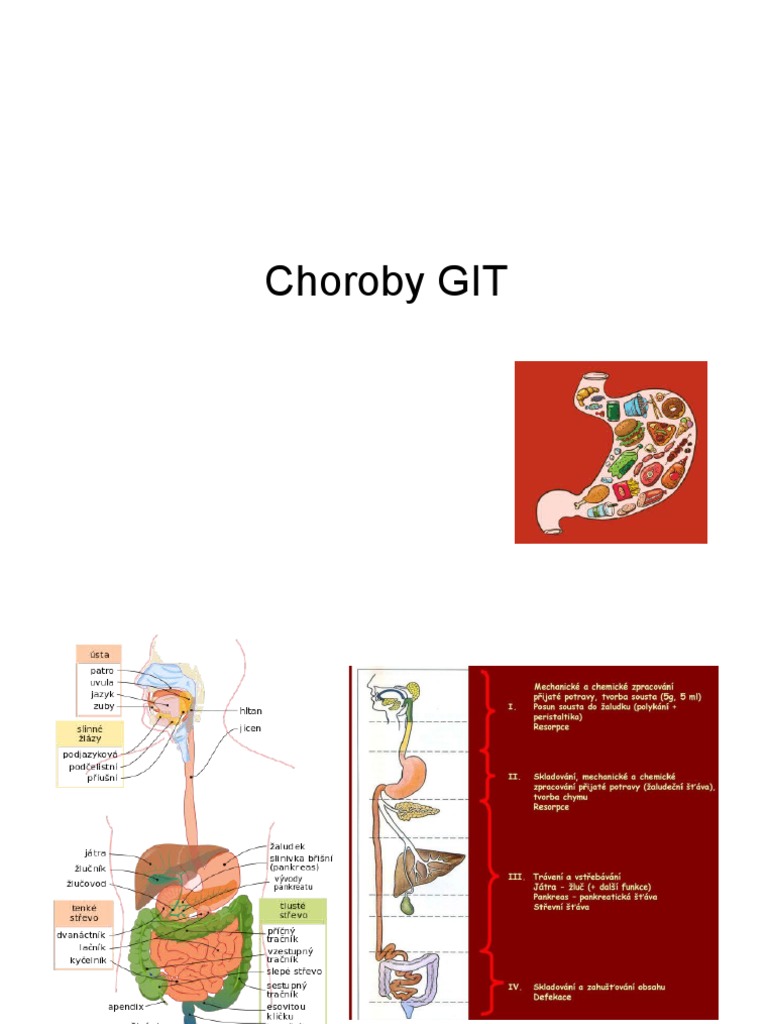 Choroby GIT | PDF