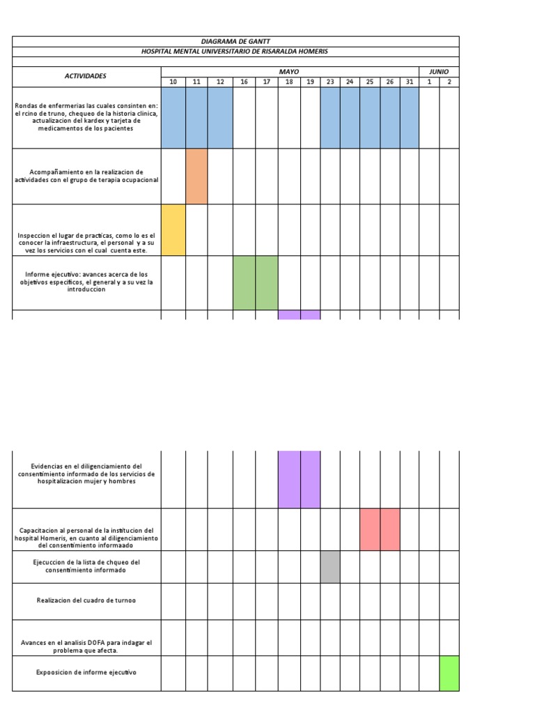 Diagrama de Gantt | PDF | Hospital | Enfermedades y trastornos
