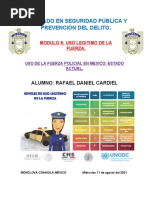 El Cacheo y Registro A Personas para Prevenir Delitos | PDF