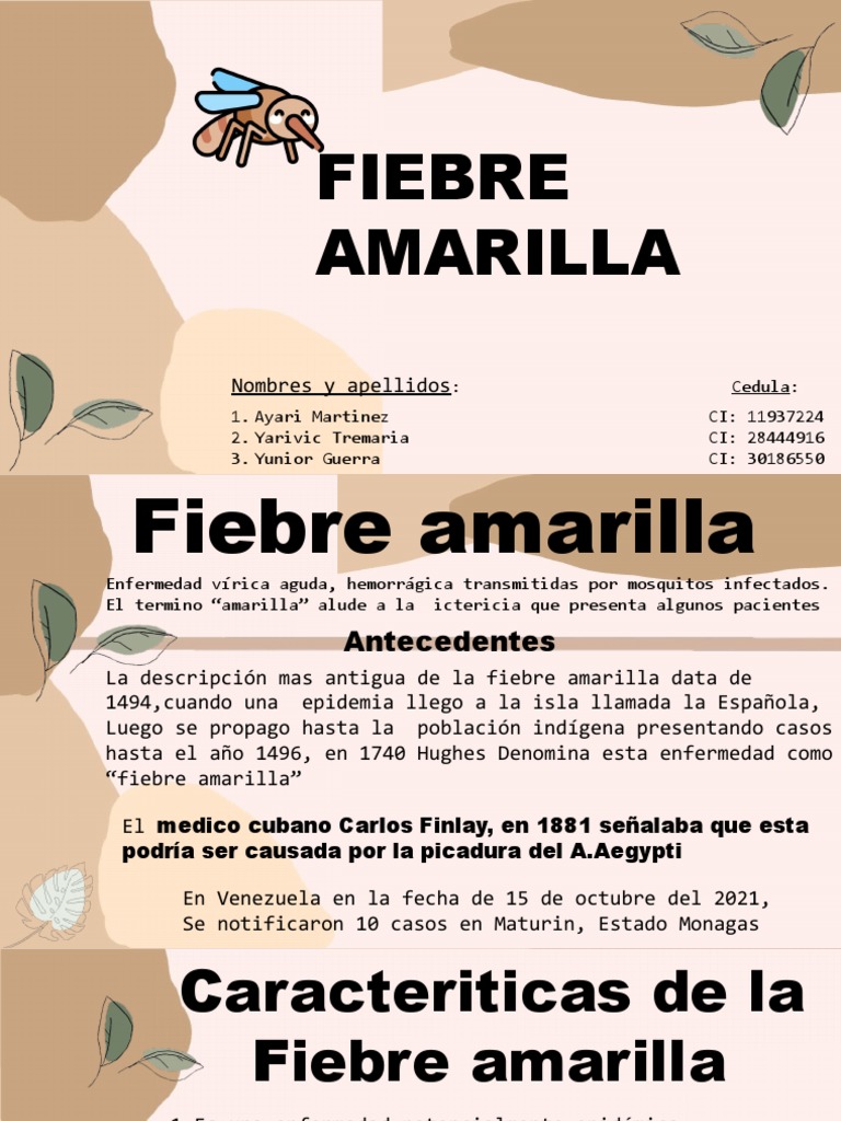 Fiebre Amarilla | PDF Fiebre Amarilla | PDF