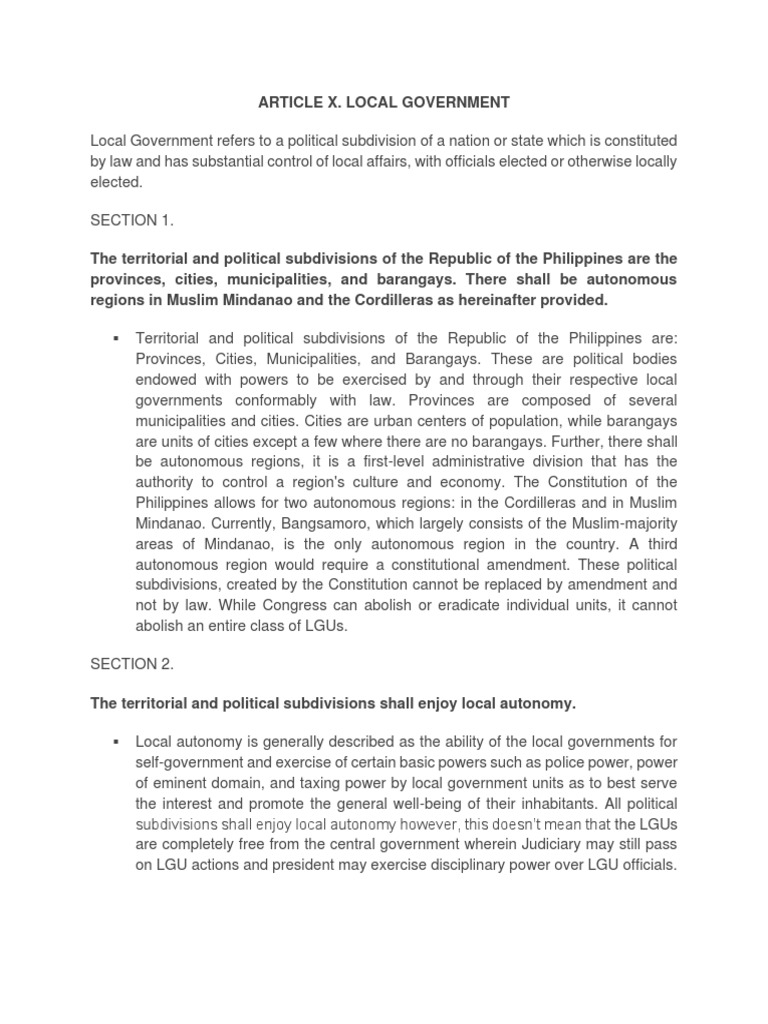 Article X Local Government | PDF | Initiative | Government