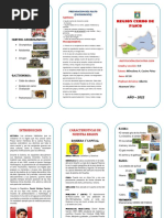 Triptico de Pasco | PDF | Alimentos | Naturaleza