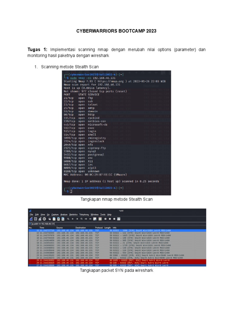 Ss Nmap | PDF