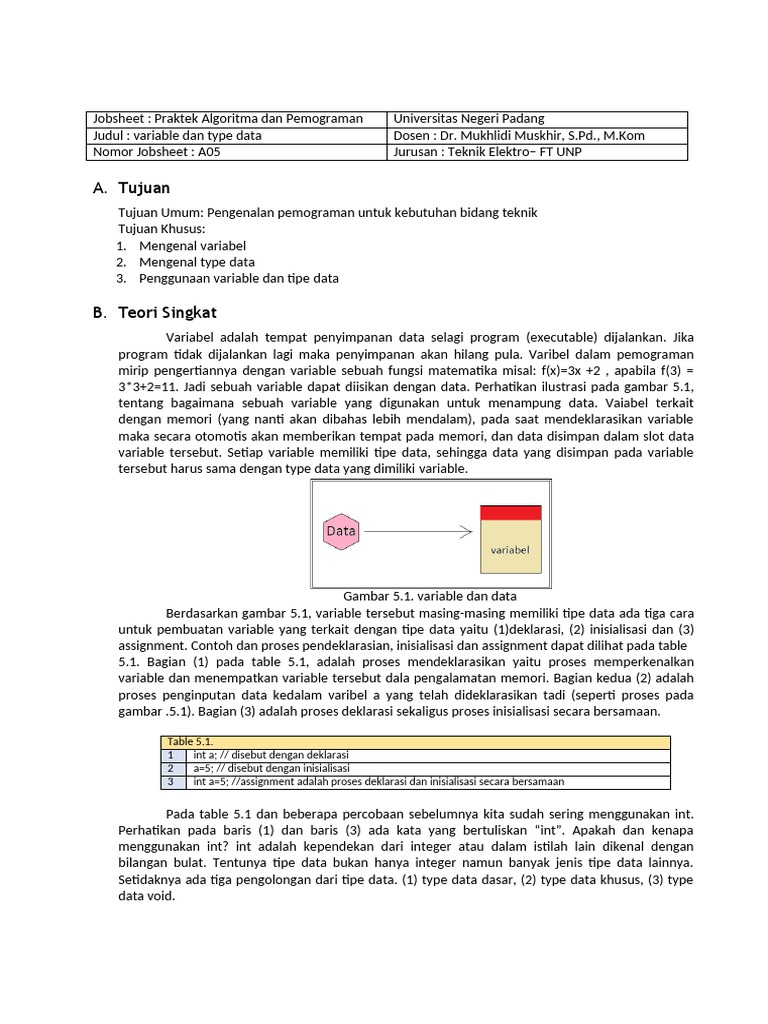 Variabel & Tipe Data: Panduan Pemrograman | PDF