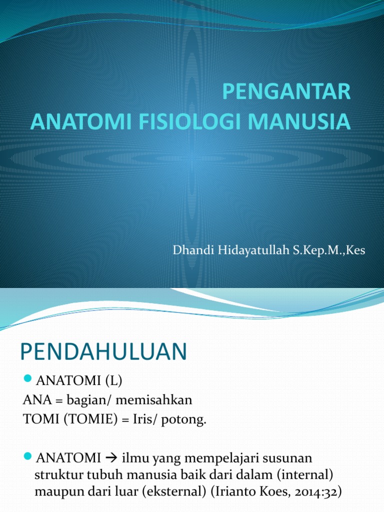 Anatomi dan Fisiologi Manusia | PDF