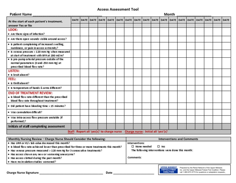 Avf Assessment Form | PDF | Hemodynamics | Blood Pressure