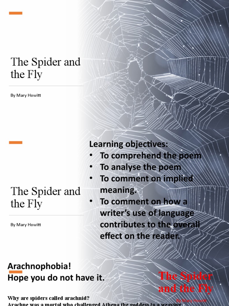 Spider and The Fly | PDF | Poetry | Spider