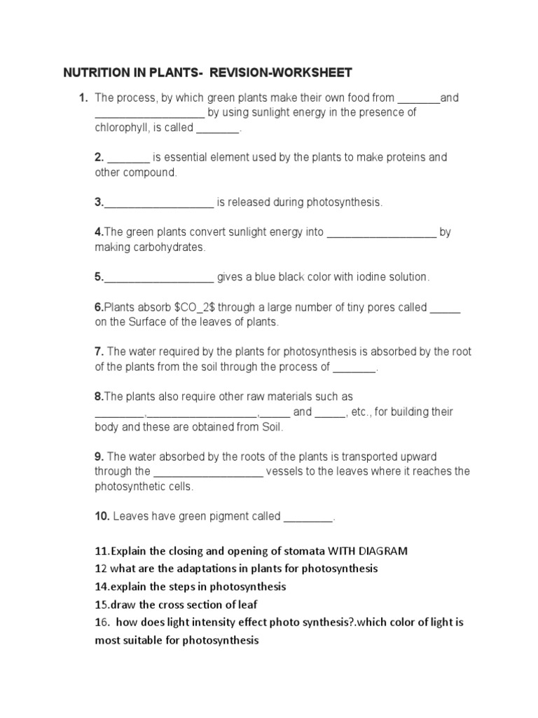 NUTRITION IN PLANTS - Work Sheet | PDF