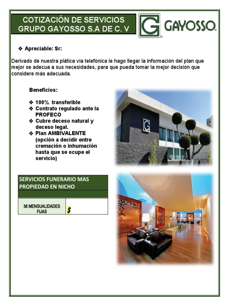 Formato Nicho Gayosso | PDF