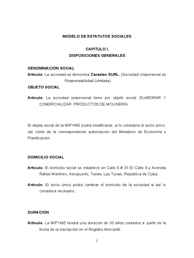 Modelo, Modelo, Modelo - Estatutos - Sociales - Mipymes | PDF | Estado ...
