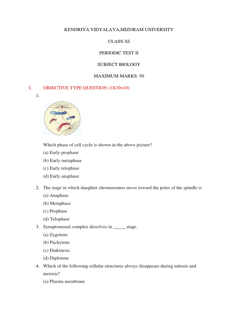 Class Xi Biology Ptii Question | PDF | Meiosis | Mitosis