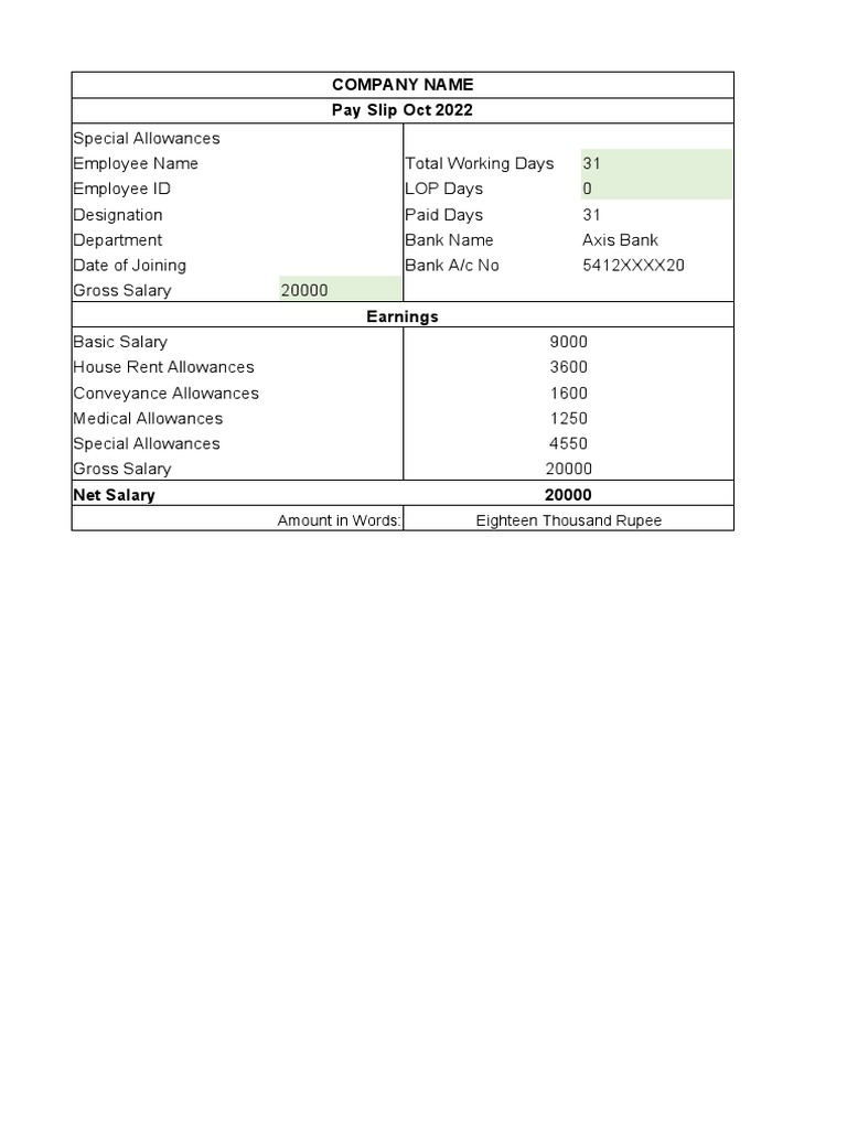 Salary Slip Without PF and ESI | PDF