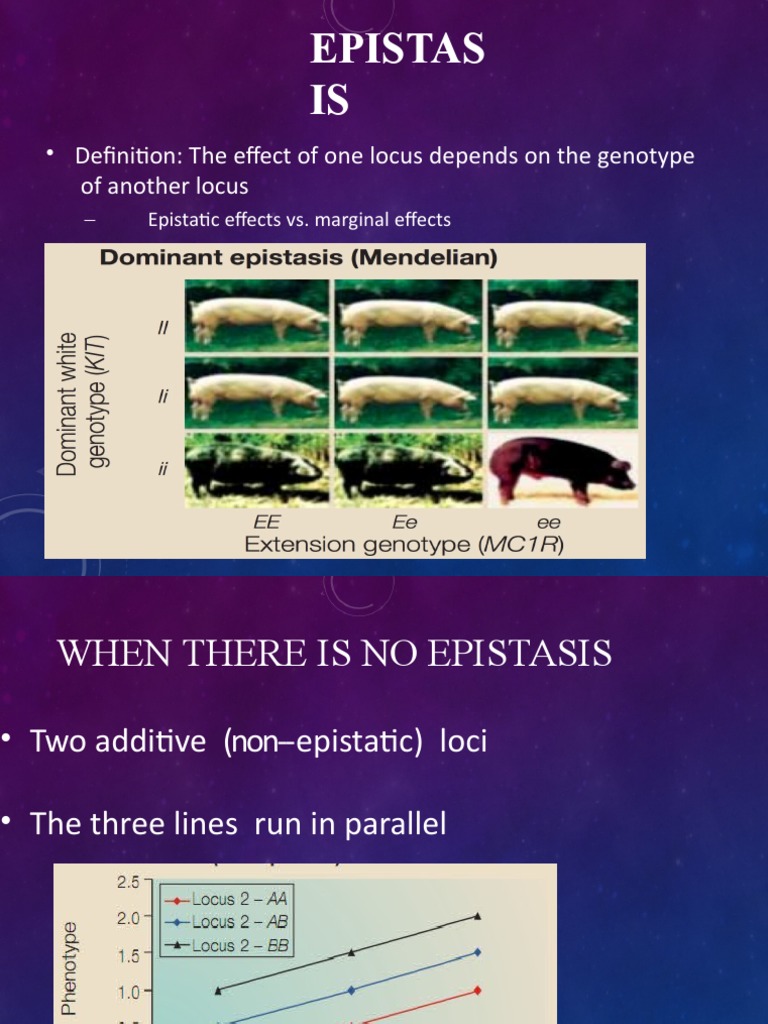 Lecture Epistasis | PDF | Epistasis | Zygosity