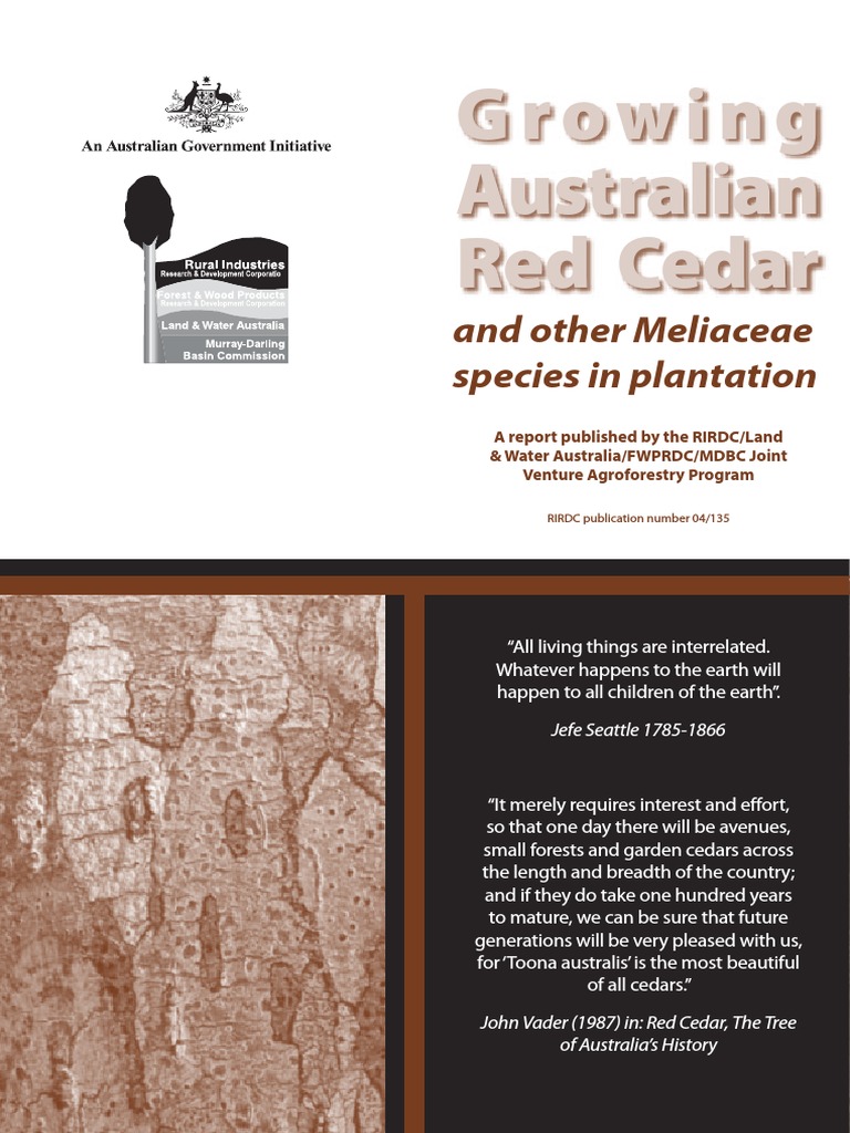 Growing Australian Red Cedar | PDF | Deforestation | Forests