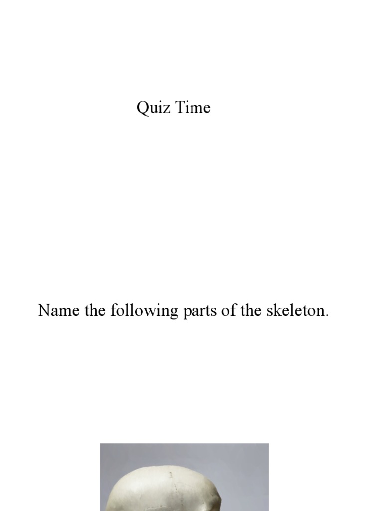 Grade 4 Skeleton and Muscular System Quiz | PDF