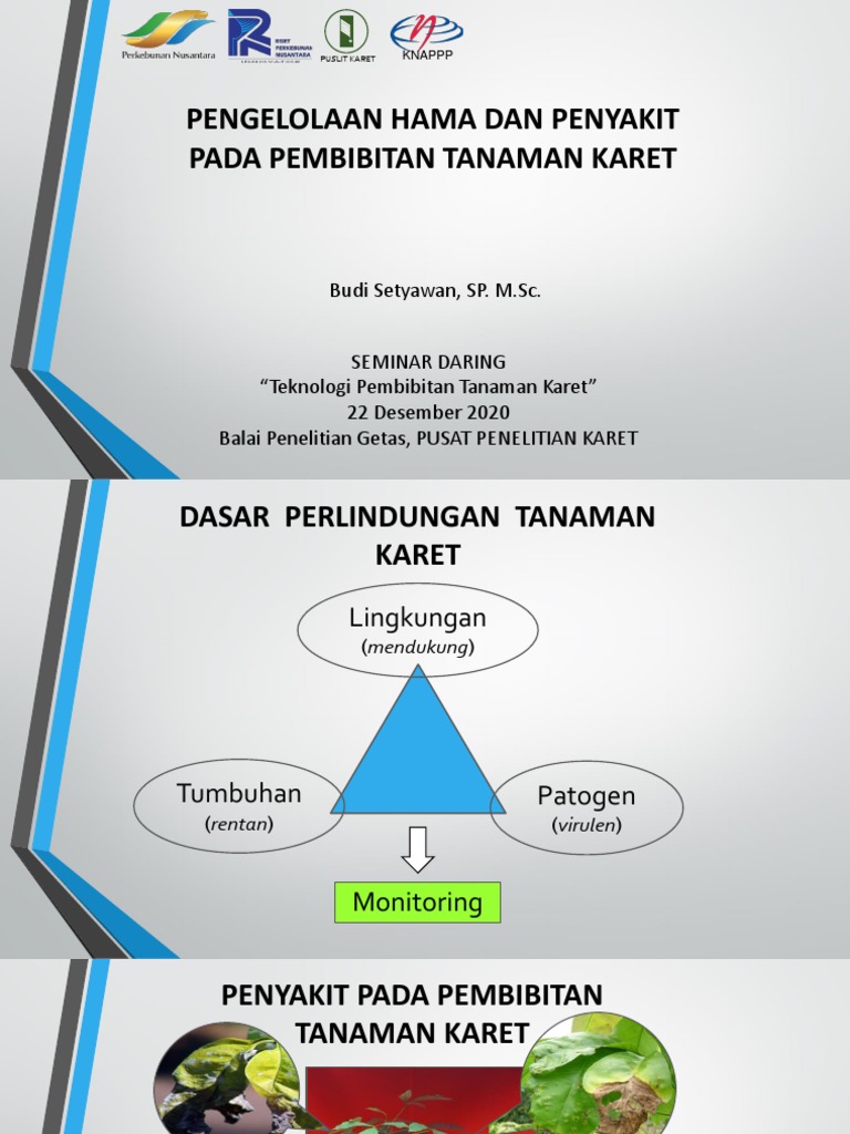Pengelolaan Hama Dan Penyakit Pada Pembibitan Tanaman Karet - Budi ...