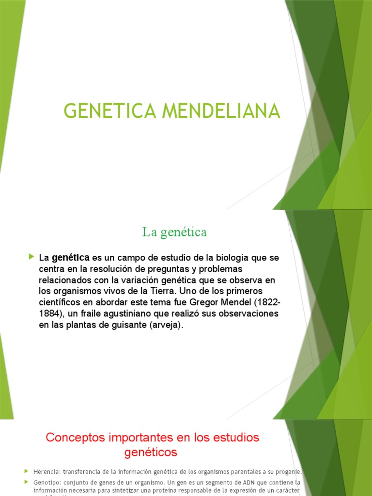 Genetica Mendeliana | PDF | Dominancia (Genética) | Alelo