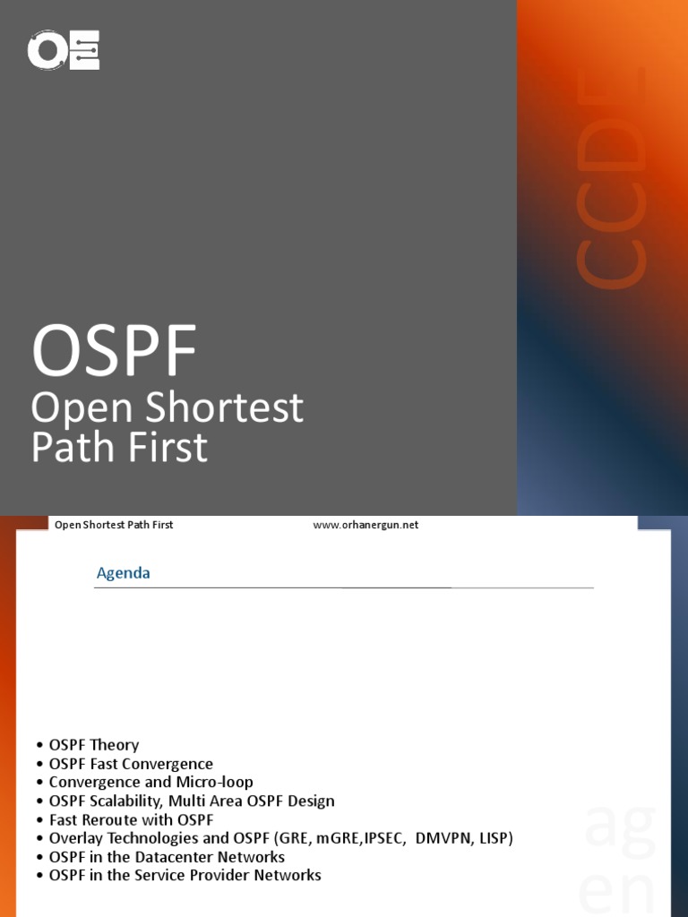 Ospf e Book | PDF | Networking | Multiprotocol Label Switching
