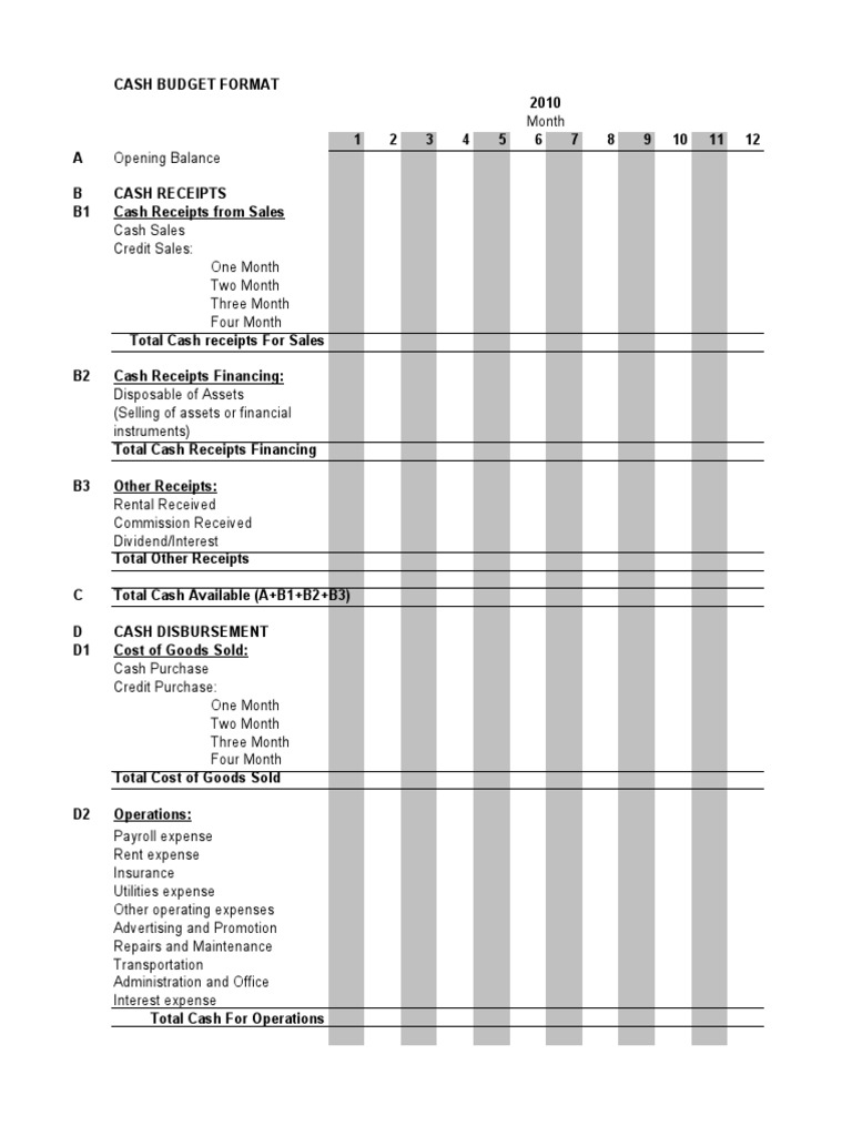 8 - Cash Budget Format | PDF | Credit | Finance & Money Management