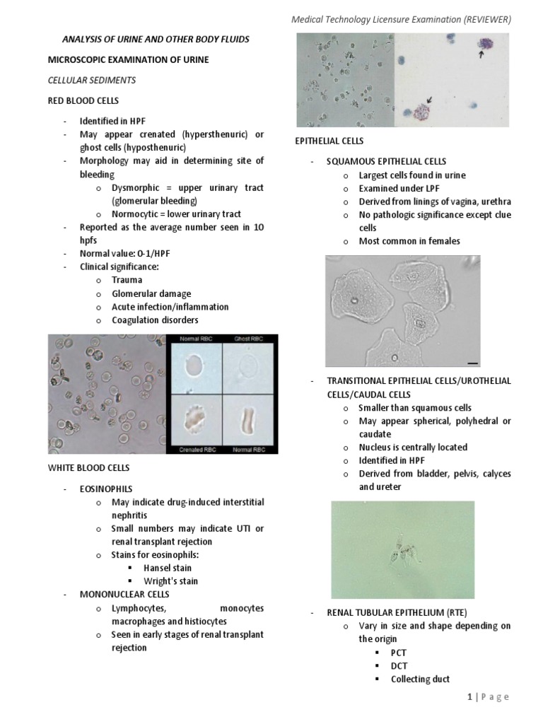 Analysis of Urine and Other Body Fluids | PDF | Medical Specialties ...
