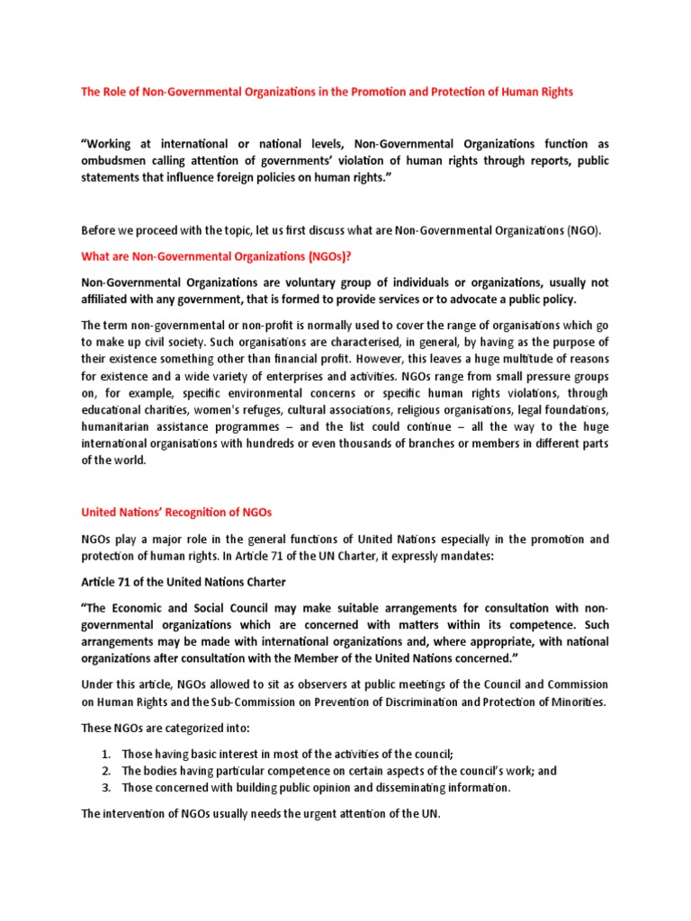 NGOs and Human Rights Advocacy | PDF | Human Rights | Non Governmental ...