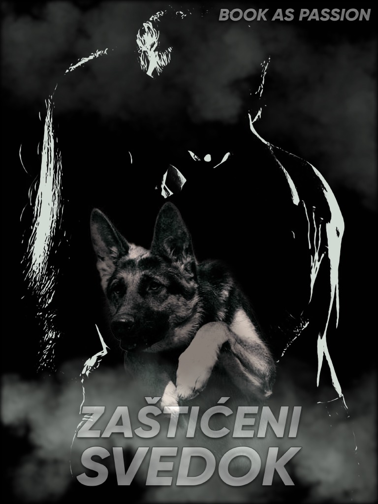 BAP - Zaštićeni svedok | PDF