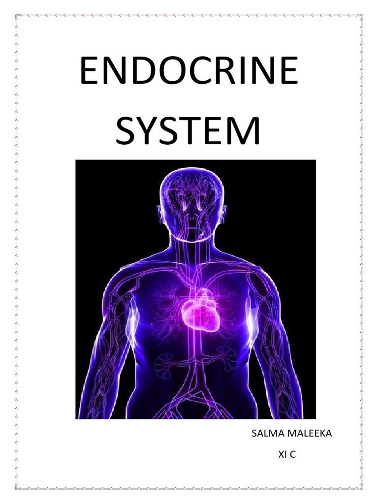 Endocrine System | PDF | Endocrine System | Human Body